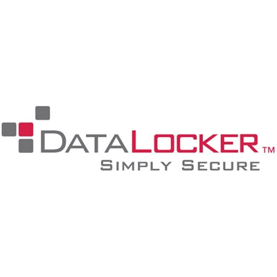 DataLocker H350 Enterprise 1TB – Computer Brain